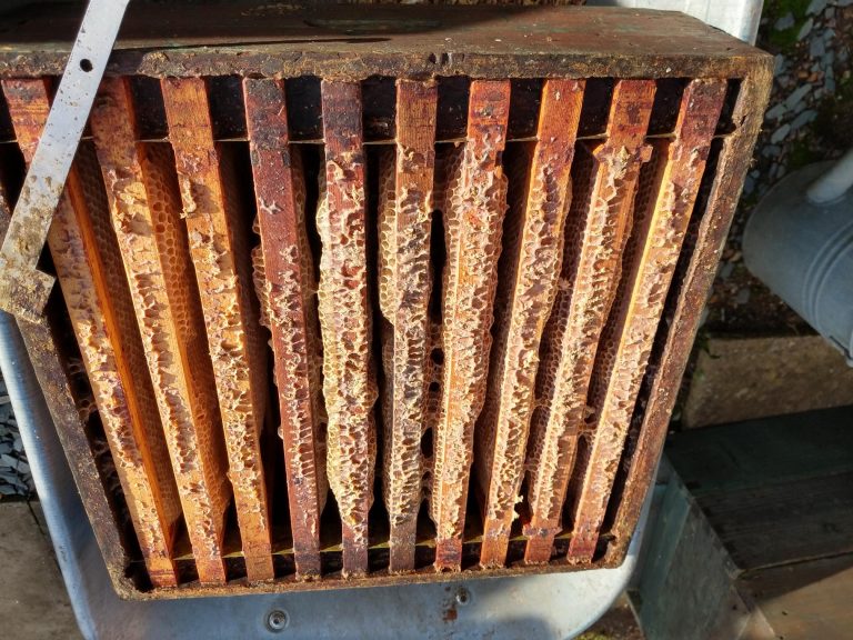 Storing Supers - Bedfordshire Beekeepers Association